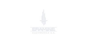 Home - DL CONSULTORES